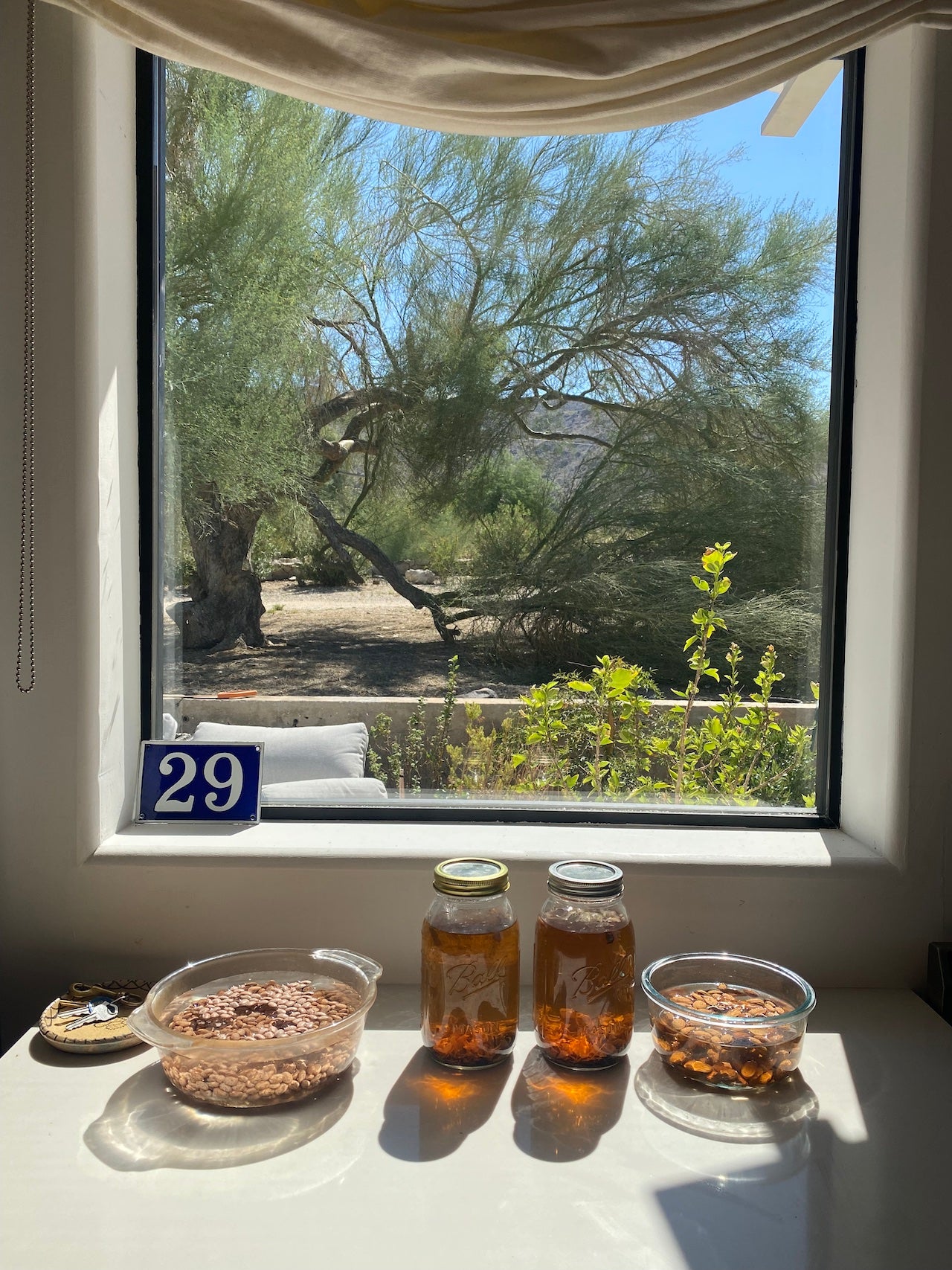 Flower Remedies for Fall – Alexis Smart Flower Remedies