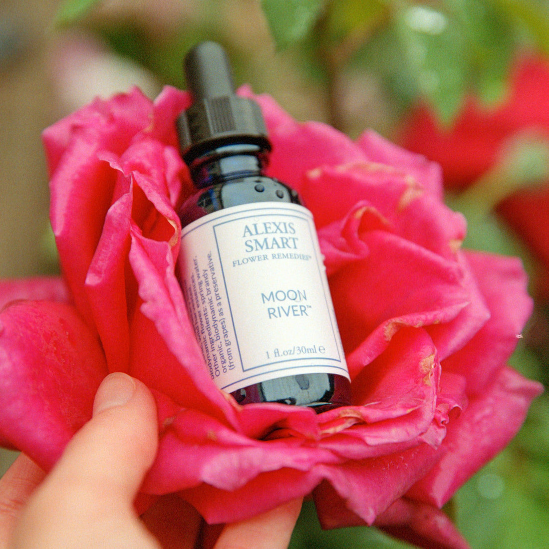 About – Alexis Smart Flower Remedies
